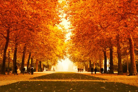 11 Awesome Autumn Photos to Give You Wanderlust