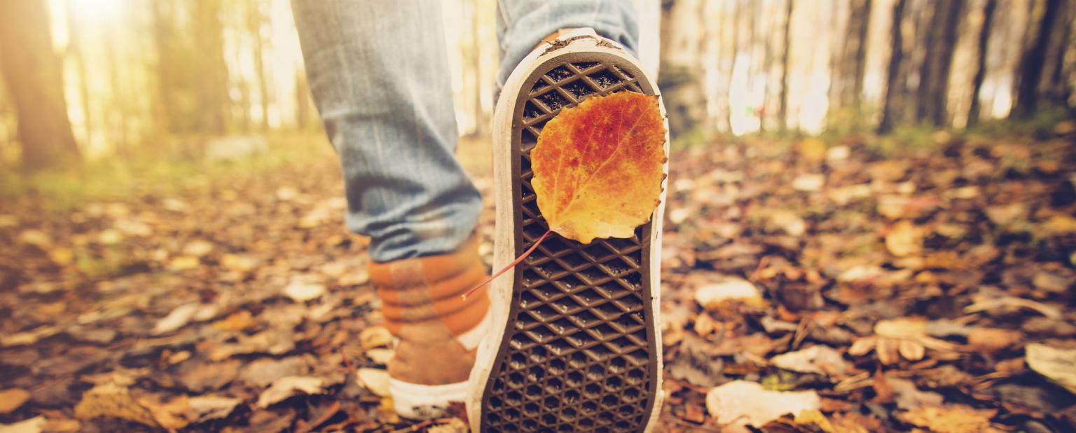 11 Awesome Autumn Photos to Give You Wanderlust