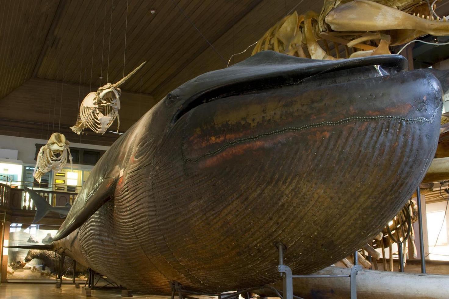 Things to do in Gothenburg | Try Somewhere New