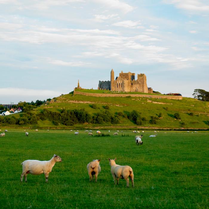 Fall in Love with Ireland in just 13 Pictures | Try Somewhere New