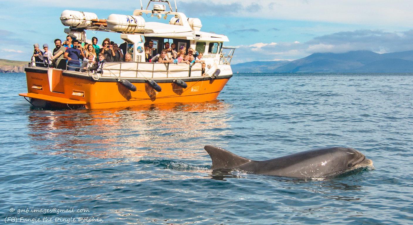 The guide on what to do in Kerry | Try Somewhere New