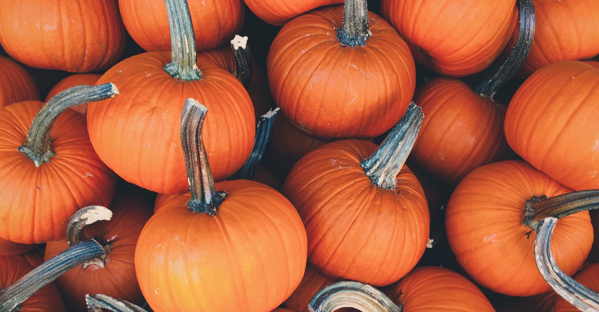 How to Pack for an Autumn Break | Try Somewhere New