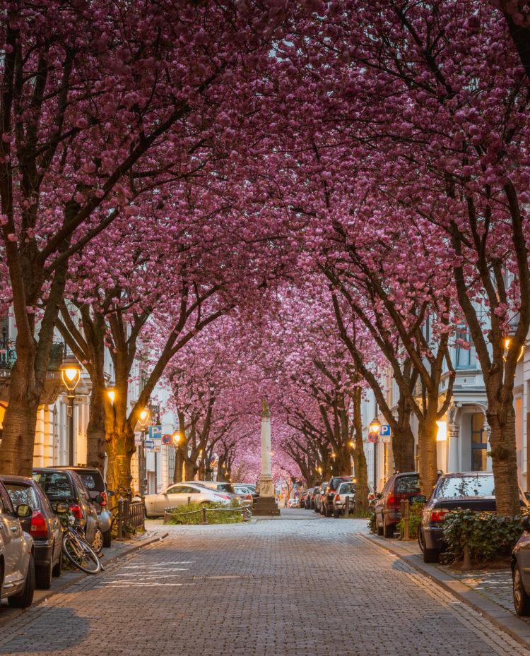 Where to Go in March and April | Try Somewhere New
