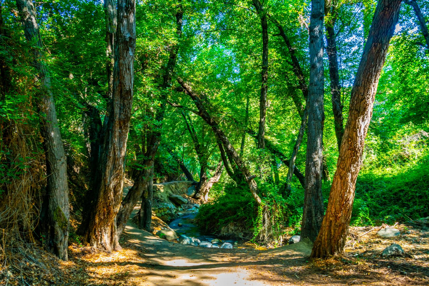 Best hiking routes in Cyprus