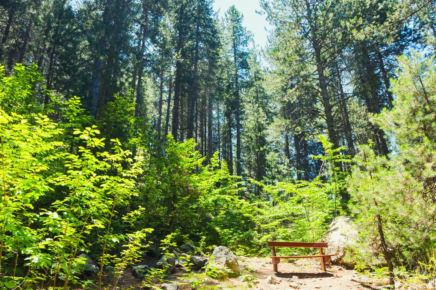 Best hiking routes in Cyprus
