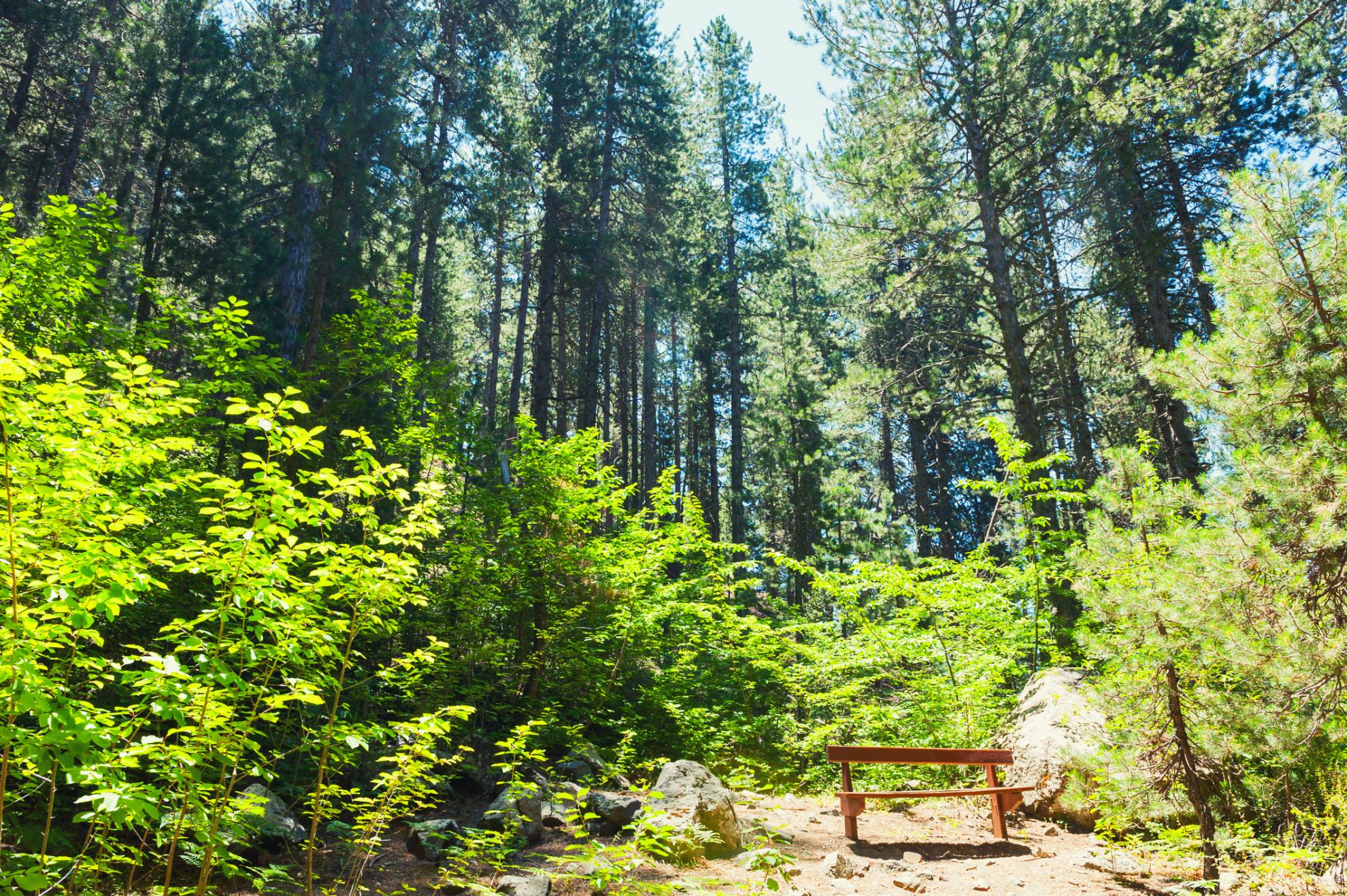 Best hiking routes in Cyprus