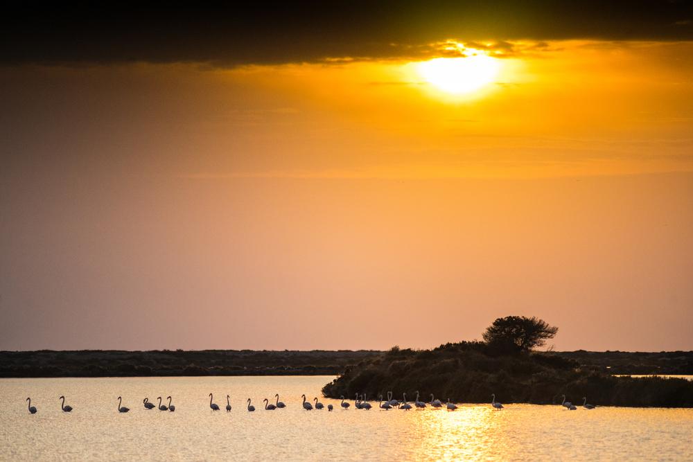 7 Awesome Spots to Watch the Sunset in Ibiza | Try Somewhere New