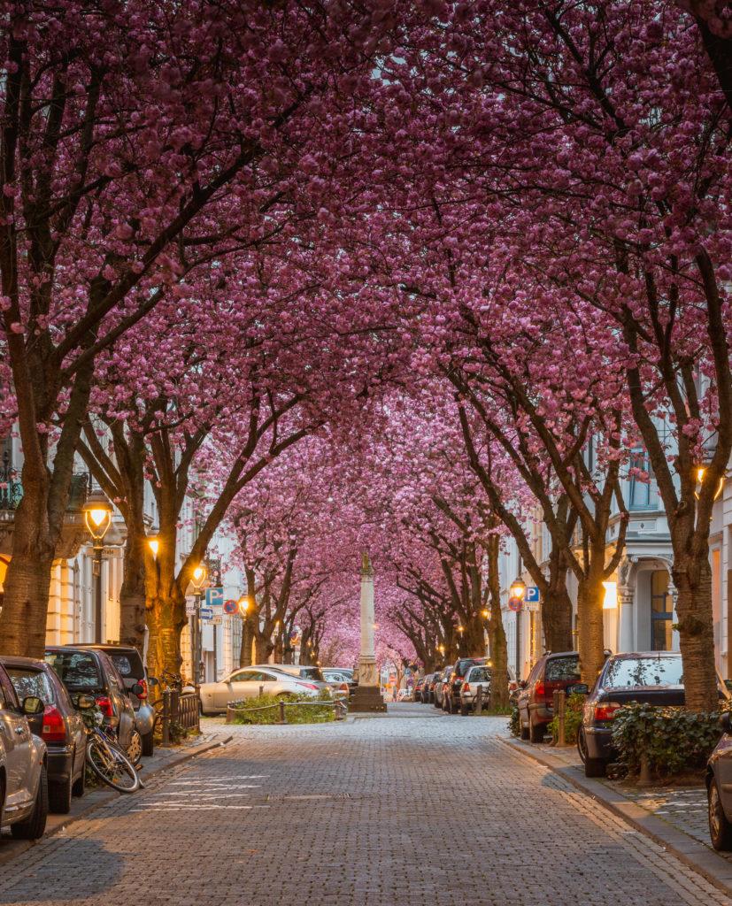 5 Brilliant Things to Do in Europe in April